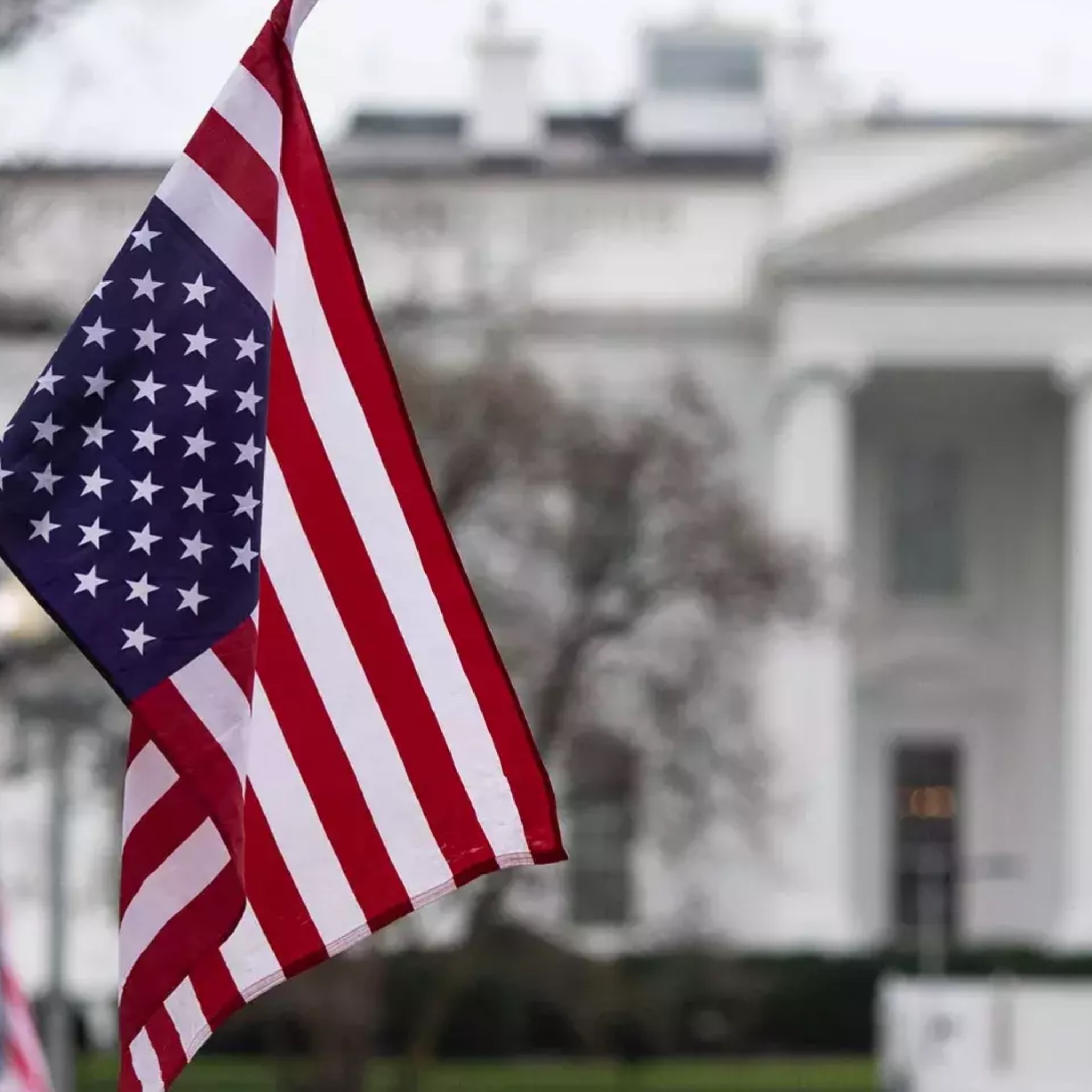 America’s Trump Card Braces for Impact – Lex Weekly