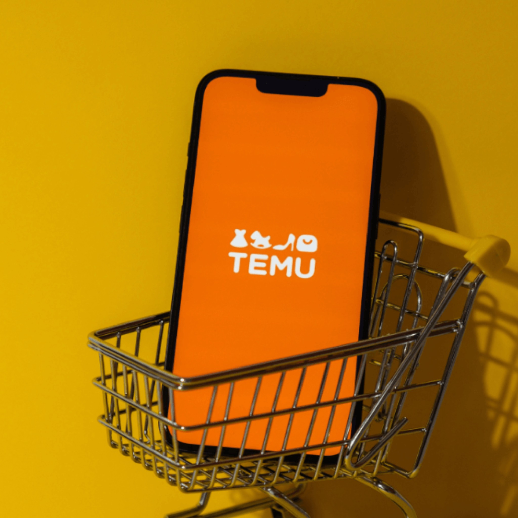 Temu Tangled in EU’s Regulatory Web – Lex Weekly